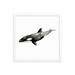 Orca (killer) Whale Watercolor Painting - Etsy