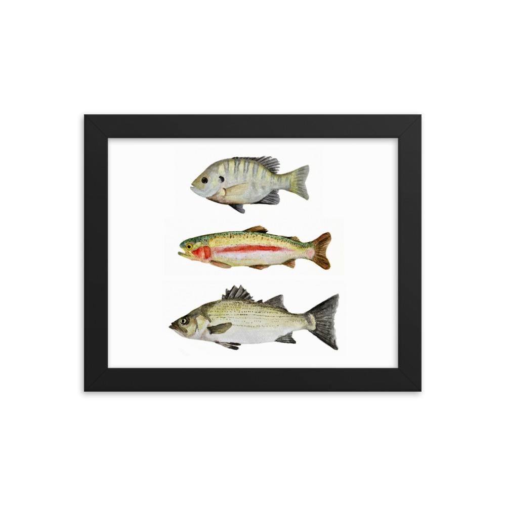 Four Fish Watercolor Print - Etsy