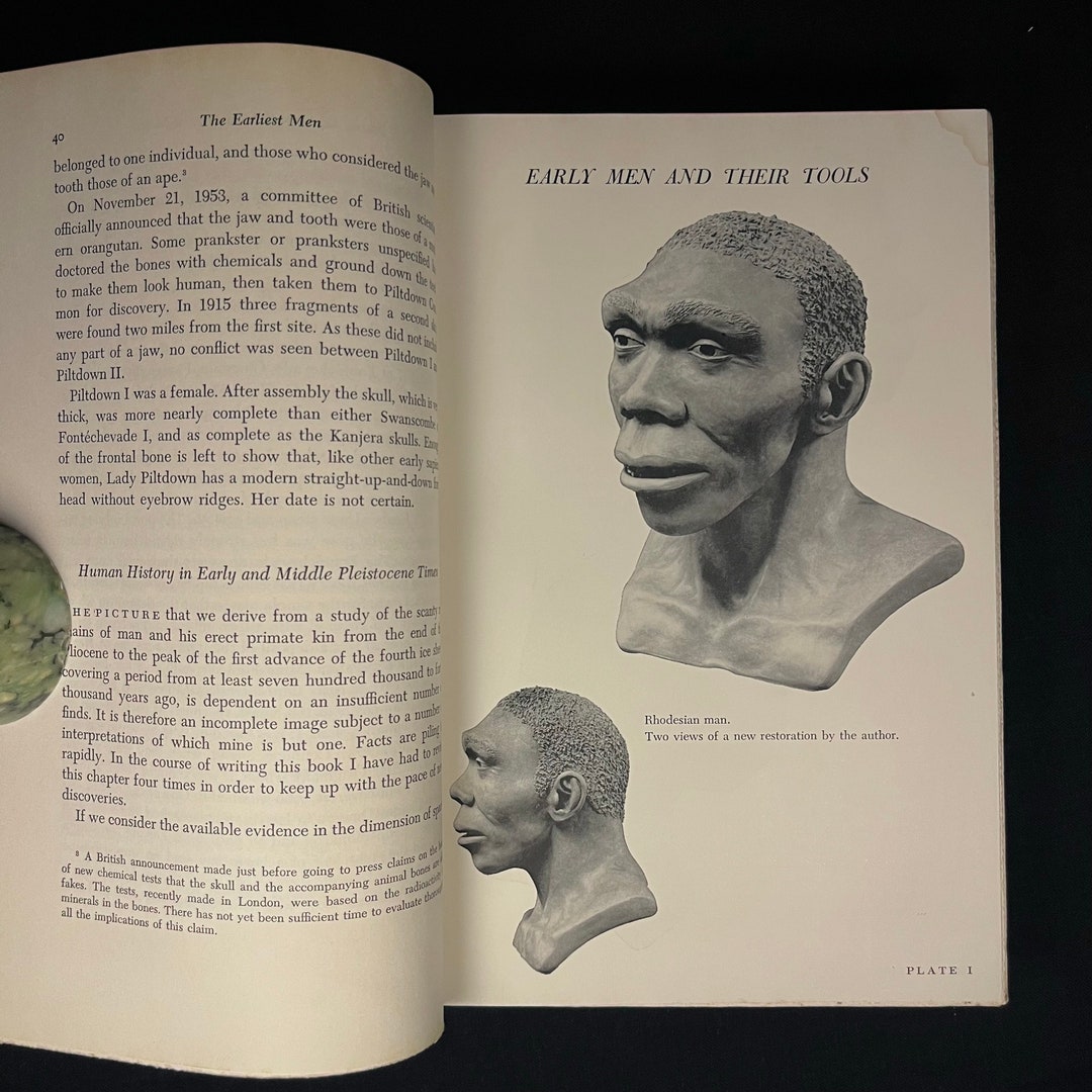 First Printing - the Story of Man: From the First Human to Primitive ...