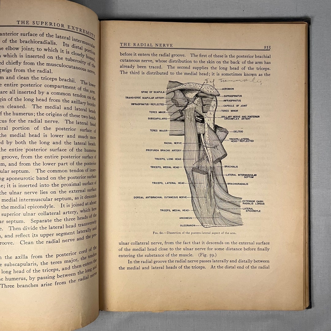First Edition - Manual of Human Dissection by Edwin M. Shearer (1945 ...