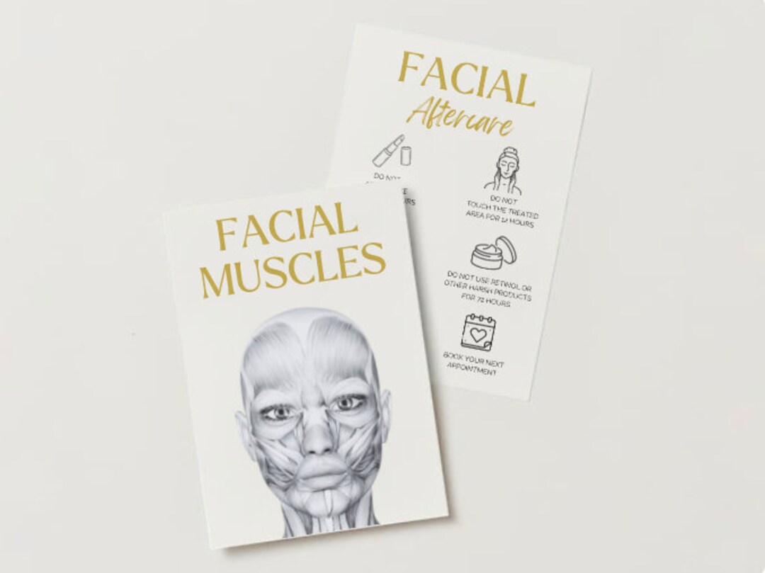Printable Aesthetics Anatomy Posters,aesthetic Poster, Face Anatomy Art ...