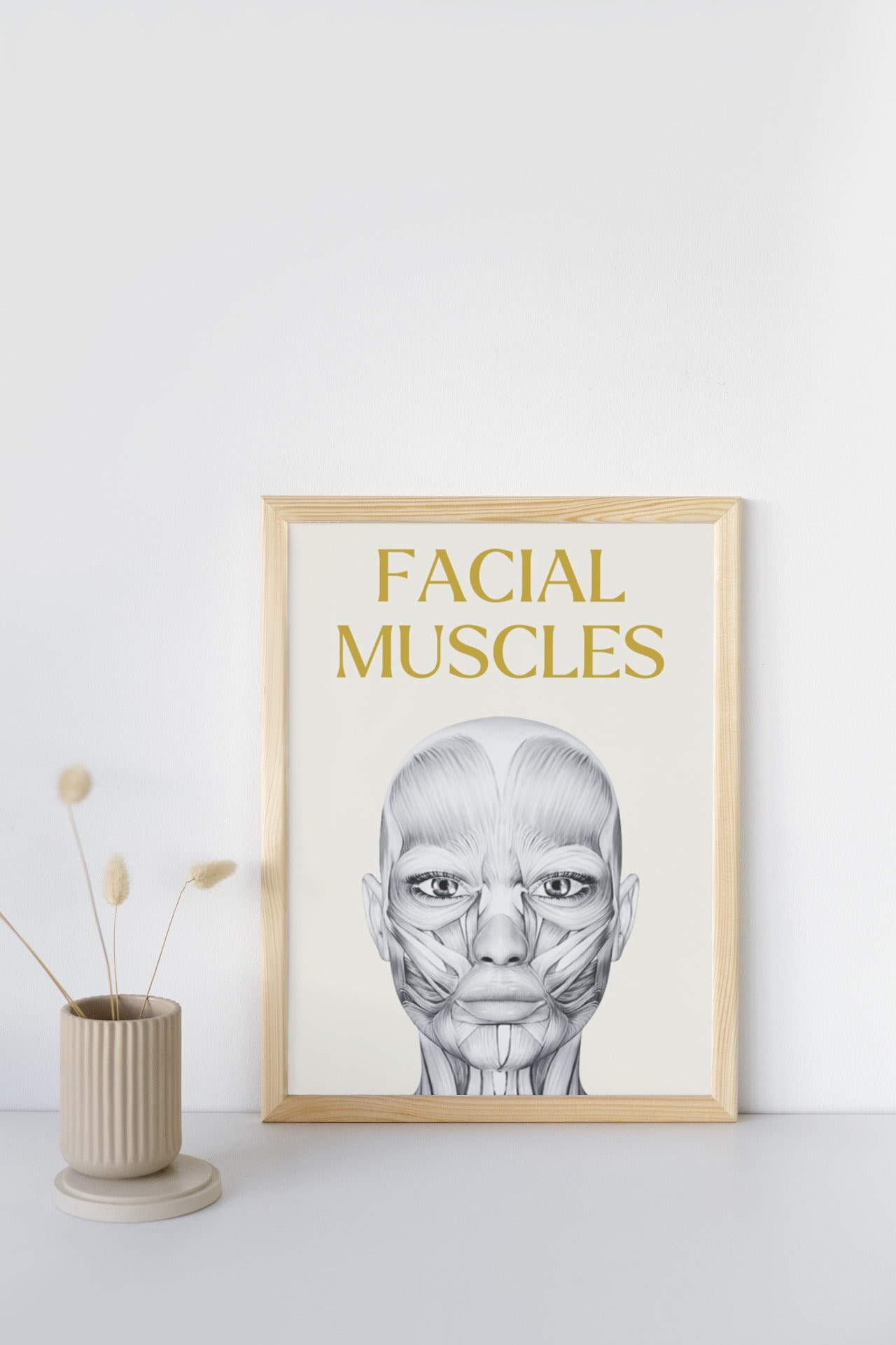 Printable Aesthetics Anatomy Posters,aesthetic Poster, Face Anatomy Art ...