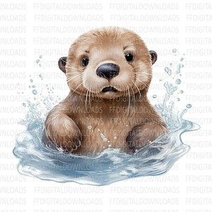 Sea Otter PNG, Watercolor Sea Otter Clipart, Colorful Sea Otter Design ...