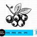 Blueberries SVG, Blueberries PNG, Blueberry Svg, Berries Clipart ...