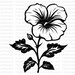 Petunia SVG, Petunia PNG, Petunia Flower Clipart, Petunia Silhouette ...