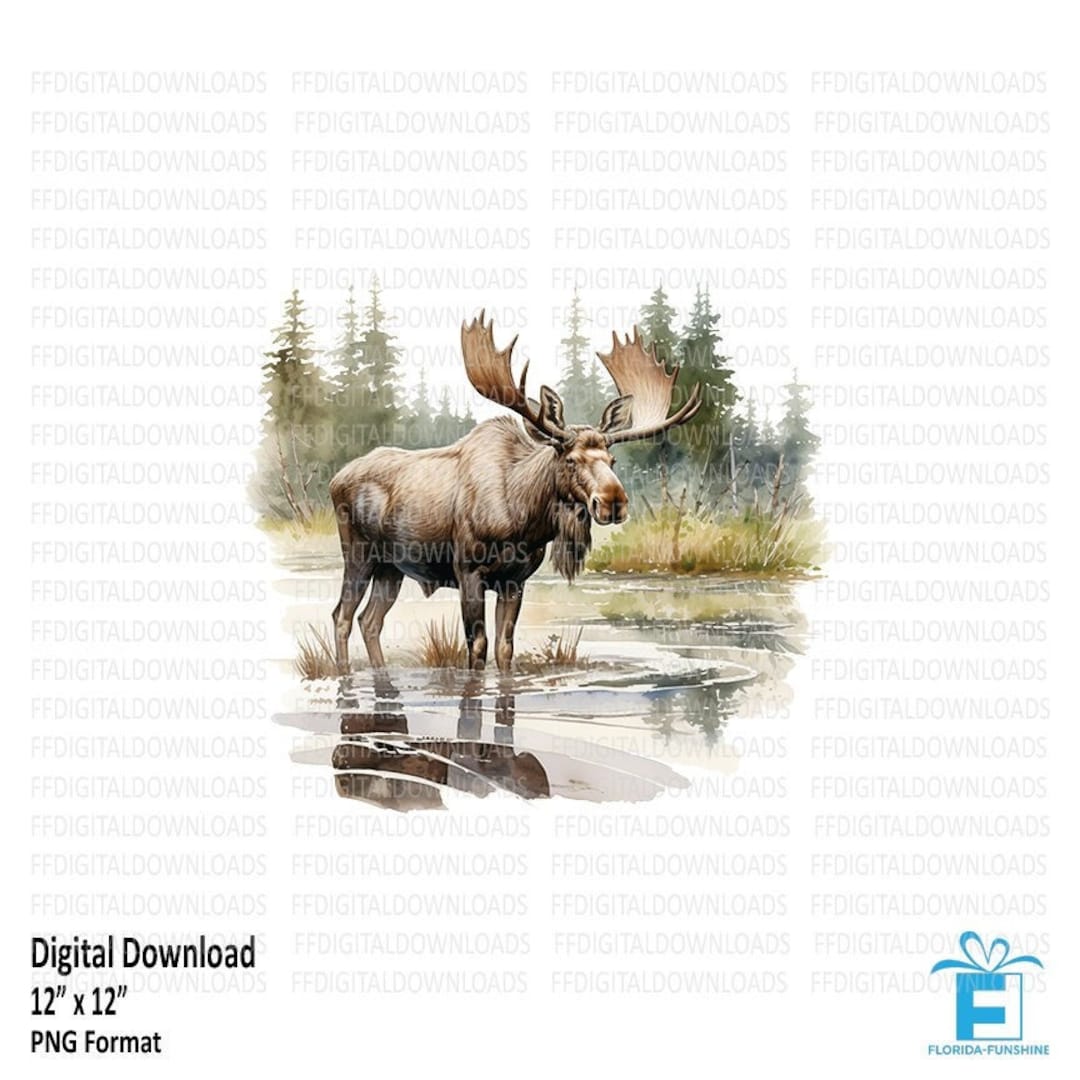 Moose PNG, Watercolor Moose, Moose Clipart, Moose Design, Moose Gift ...