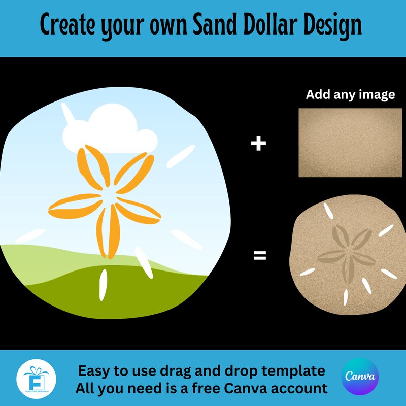 Sand Dollar Clip Art - Etsy