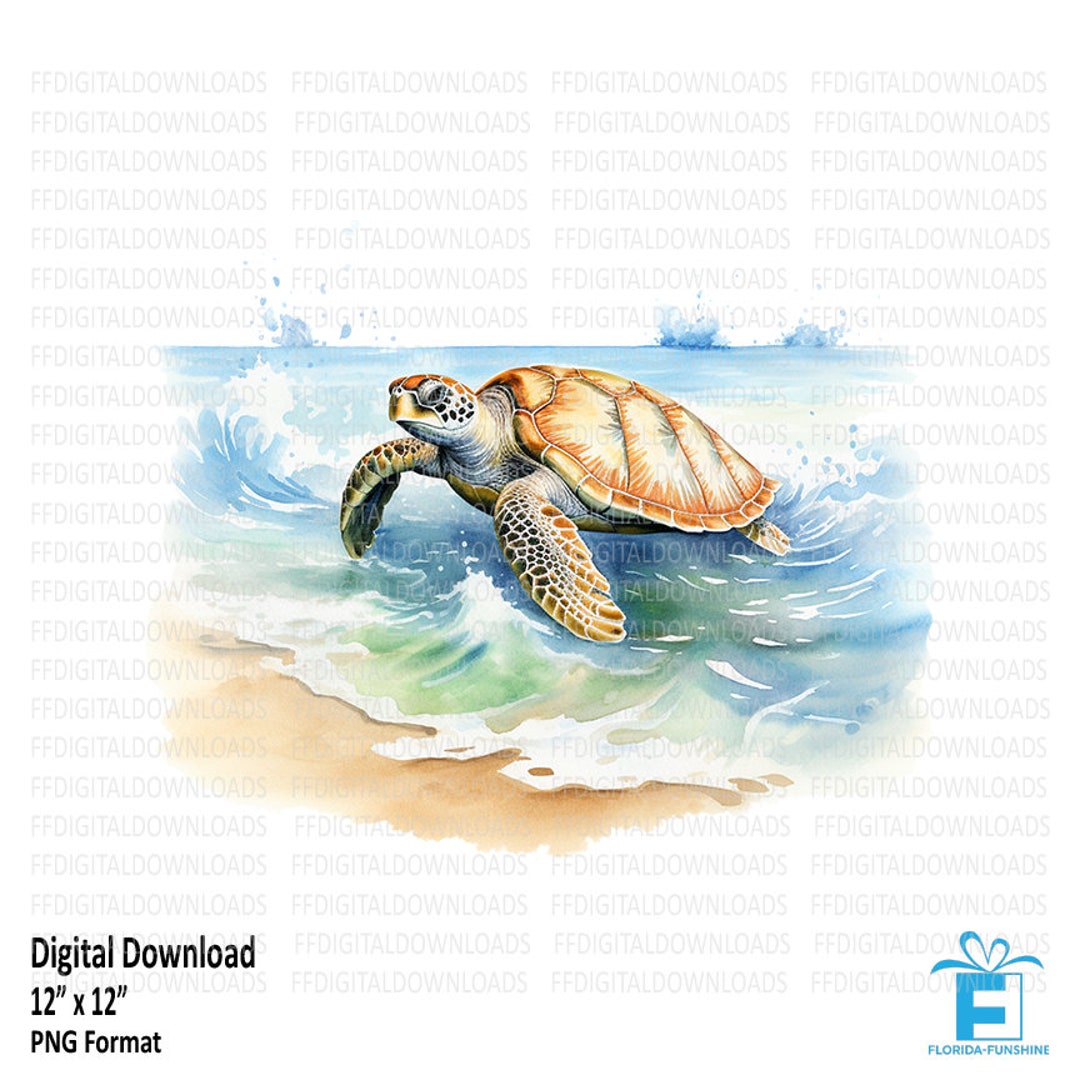 Sea Turtle Clipart, Sea Turtle PNG, Watercolor Sea Turtle on Beach ...