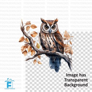 Owl Clipart, Owl on Branch Clipart, PNG, Owl Digital Clipart, Owl Image ...