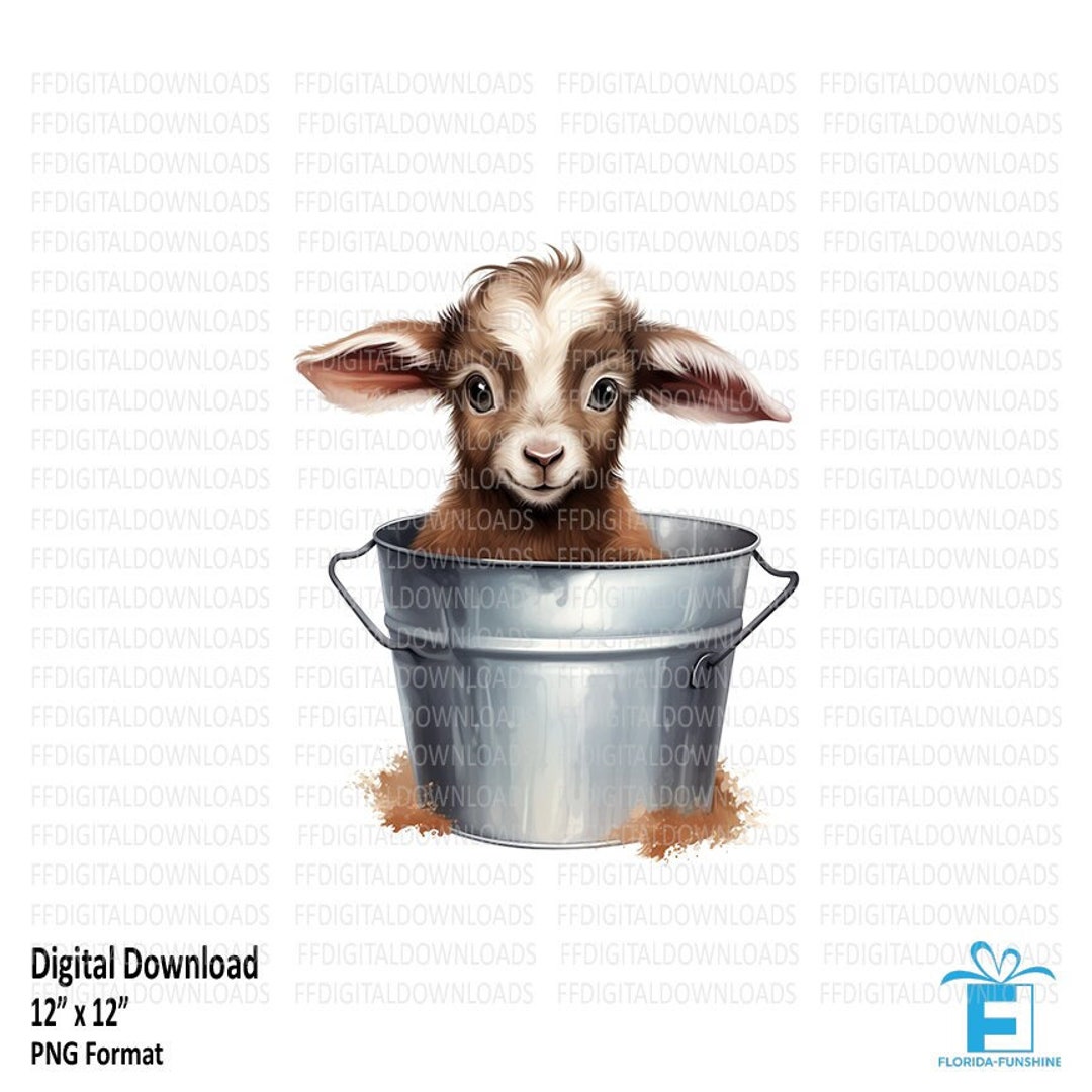 Goat PNG, Goat in Bucket PNG, Cute Goat Clipart, Baby Goat Clipart ...
