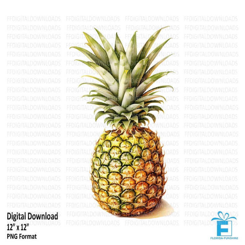 Pineapple Clipart Pineapple Png Watercolor Pineapple - Etsy