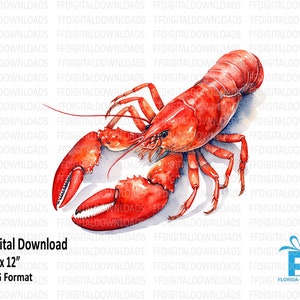 Lobster PNG, Lobster Clipart, Lobster Digital Clipart, Lobster Image ...