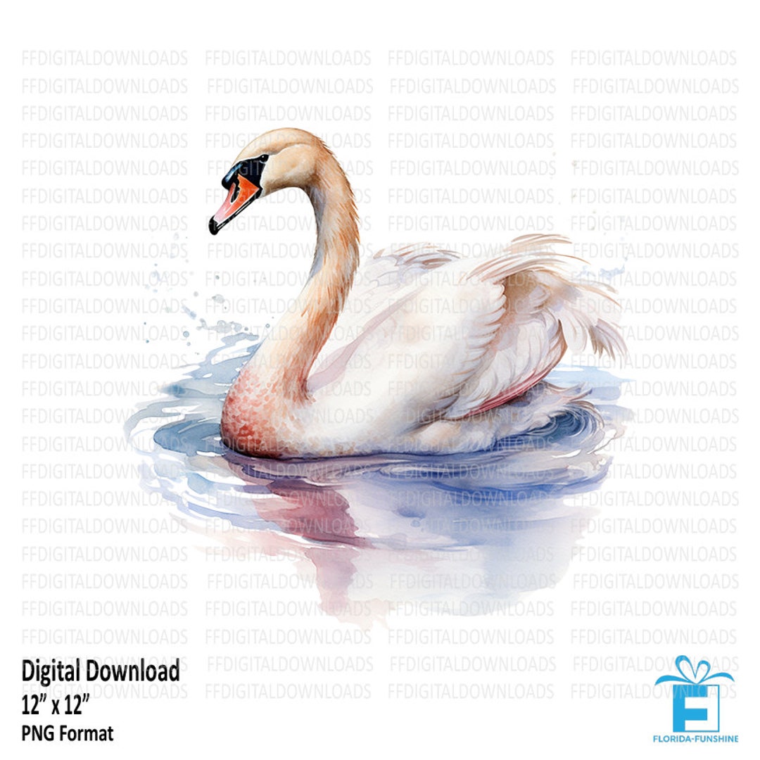 Watercolor Swan Clipart, Swan PNG, Swan Clipart, Watercolor Swan Png ...