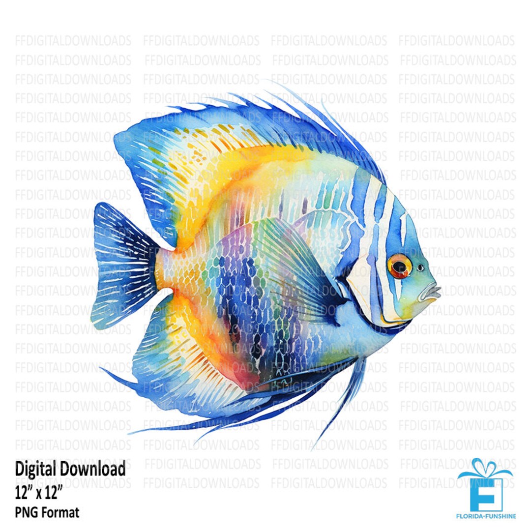 Angel Fish Clipart, Angel Fish Png, Angel Fish Image, Angel Fish ...