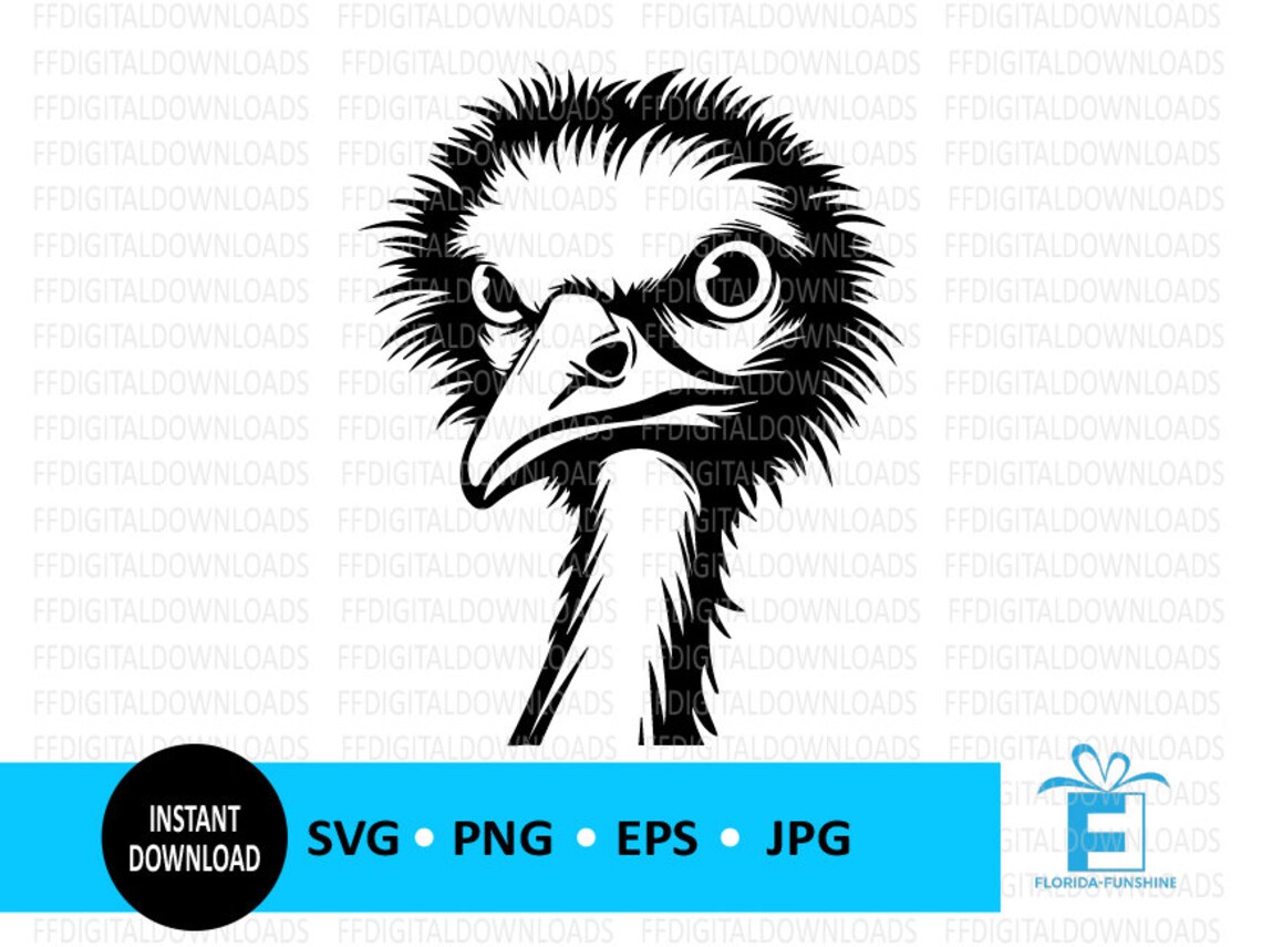 Ostrich Face SVG, Ostrich PNG, Ostrich Face Clipart, Ostrich Digital ...
