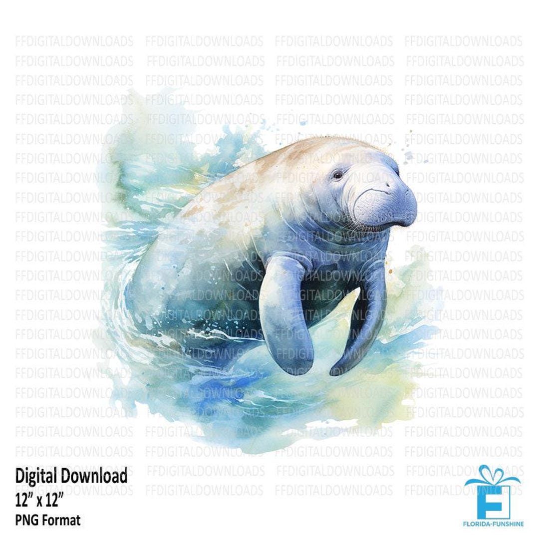 Manatee Clipart, Manatee Png, Watercolor Manatee, Digital Clipart ...