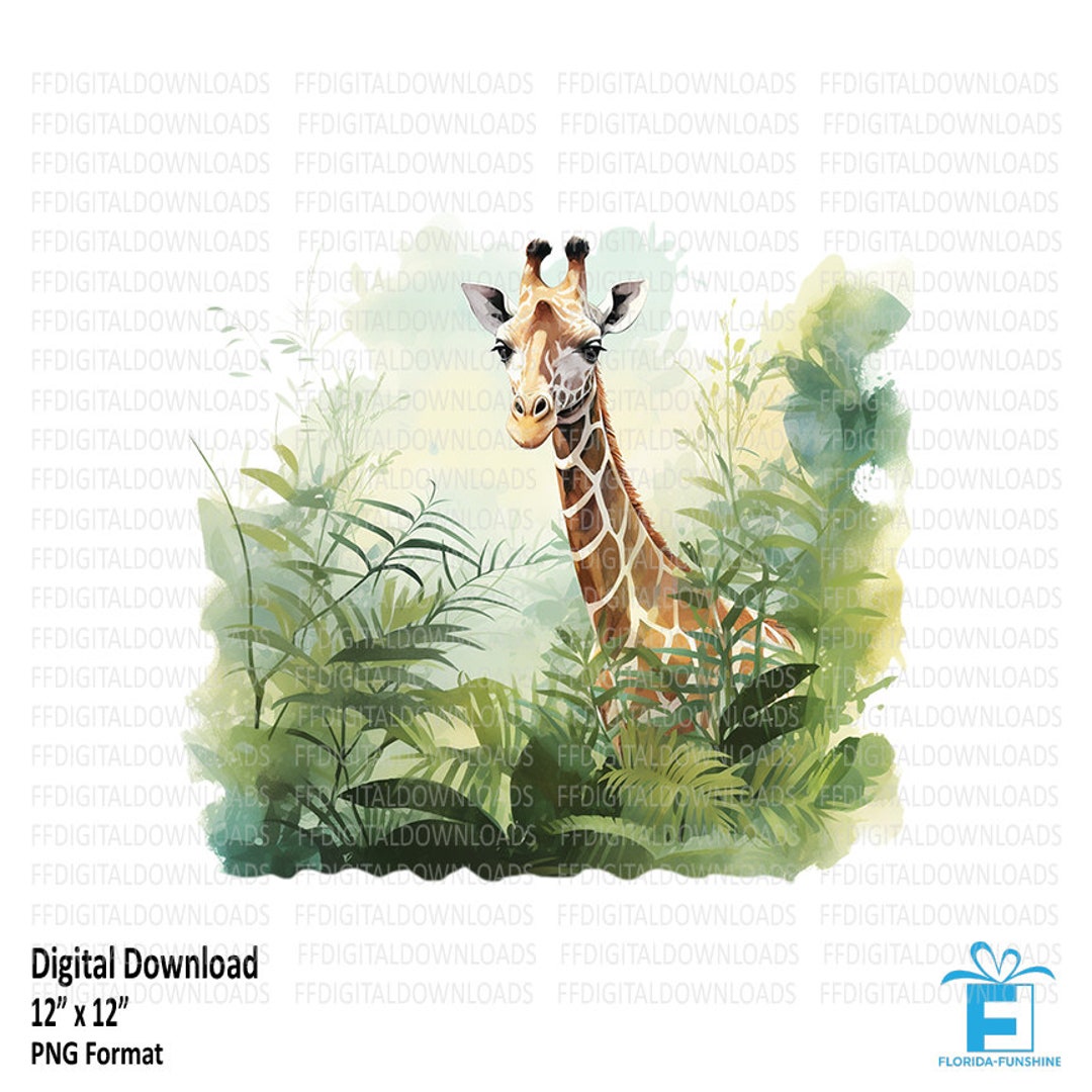 Giraffe PNG, Giraffe Clipart, Watercolor Giraffe Clipart, Giraffe Image ...
