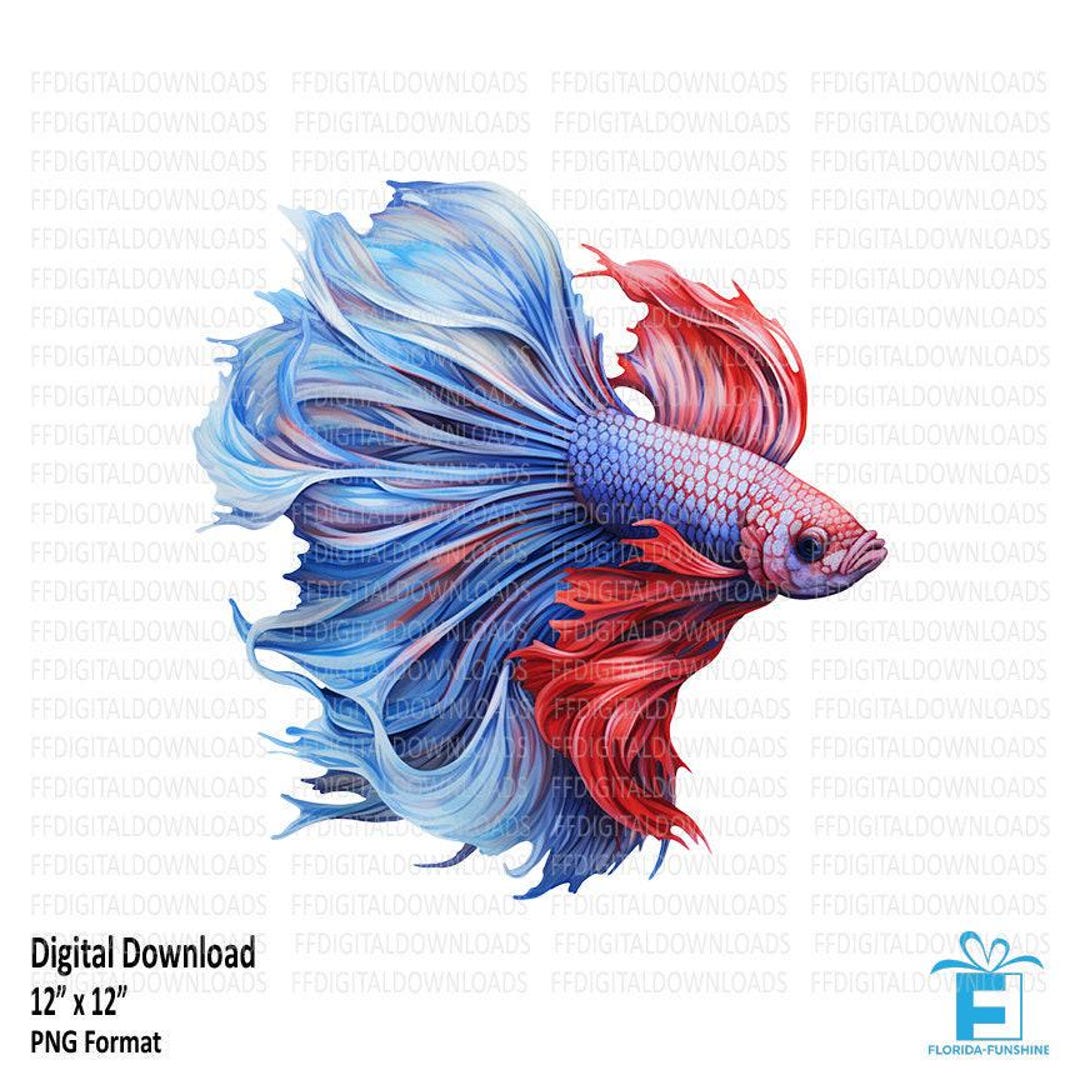 Betta Fish Clipart, Betta Fish Png, Red and Blue Betta Fish, Betta Fish ...
