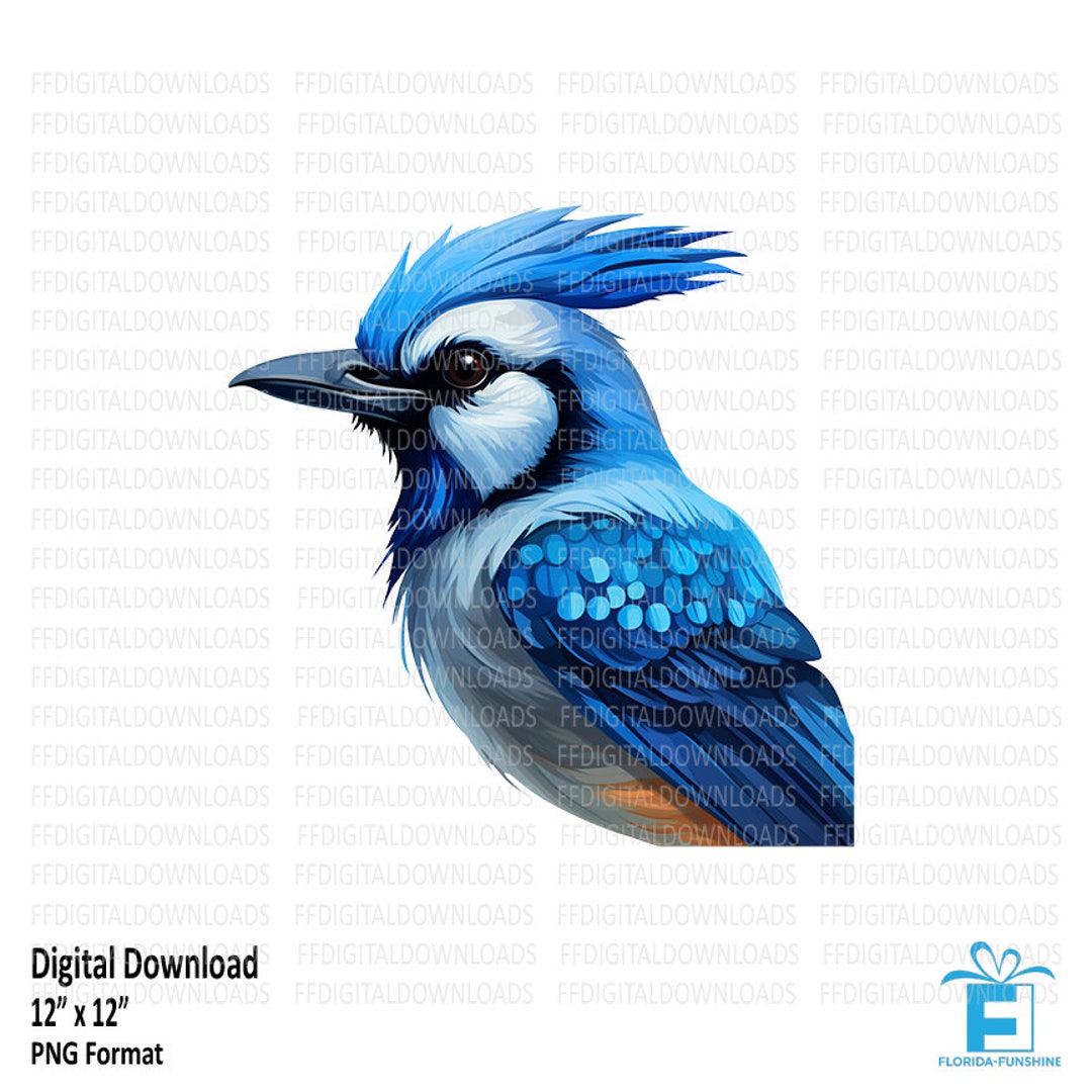 Blue Jay Clipart, Blue Jay PNG, Blue Jay Image, Blue Jay Digital ...