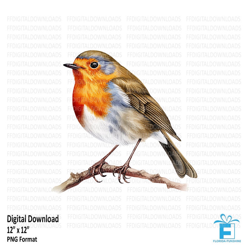 Robin Clipart Robin Png Watercolor Robin Robin Bird Design - Etsy