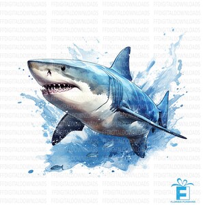 Shark Clipart Bundle, 7 High-quality Pngs, Shark Png, Great White Shark ...