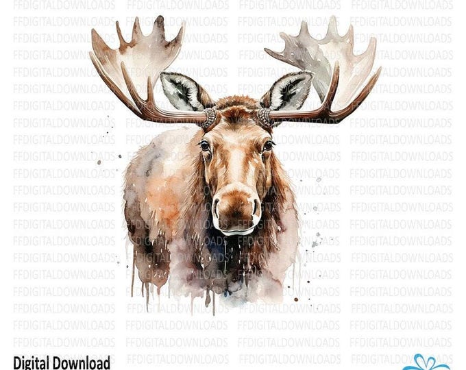 50 PNG Moose Clipart Bundle | Moose Drawing Graphics | Digital Download ...