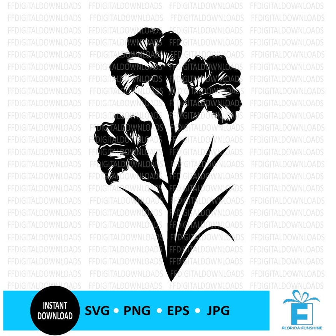 Gladiolus SVG, Gladiolus PNG, Gladiolus Flower Clipart, Gladiolus ...