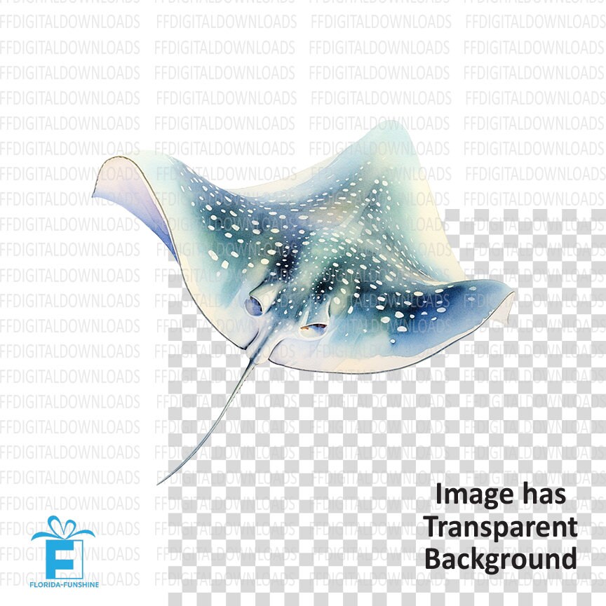 Stingray Clipart Stingray Png Watercolor Stingray Digital - Etsy
