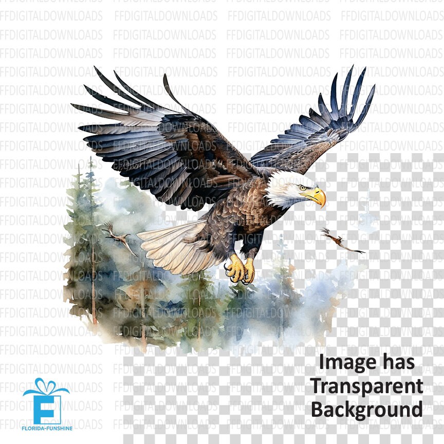 Bald Eagle PNG Bald Eagle Clipart Watercolor Bald Eagle - Etsy
