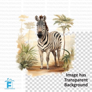 Zebra Clipart, Zebra Png, Watercolor Zebra, Zebra Digital Clipart ...