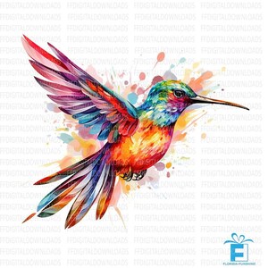 Hummingbird Clipart, 7 High-quality PNG Bundle, Psychedelic Hummingbird ...