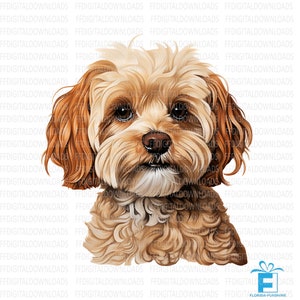 Cavapoo Clipart Bundle, 7 High-quality Pngs, Cavapoo Png, Cavapoo Image ...