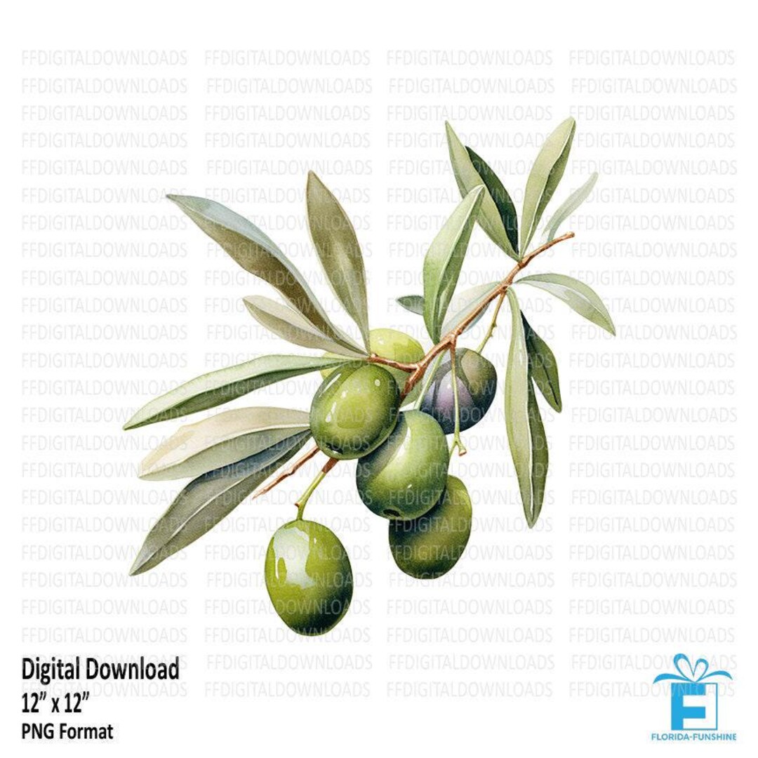 Olives Clipart, Olives Png, Olive Tree Digital Clipart, Olives Image ...
