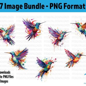 Hummingbird Clipart, 7 High-quality PNG Bundle, Psychedelic Hummingbird ...