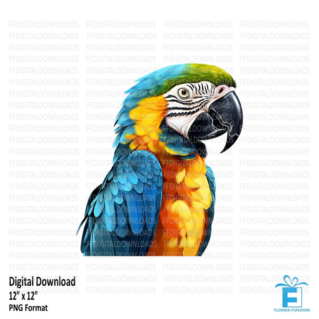 Macaw Clipart, Macaw PNG, Macaw Image, Printable Macaw Art, Macaw Bird ...