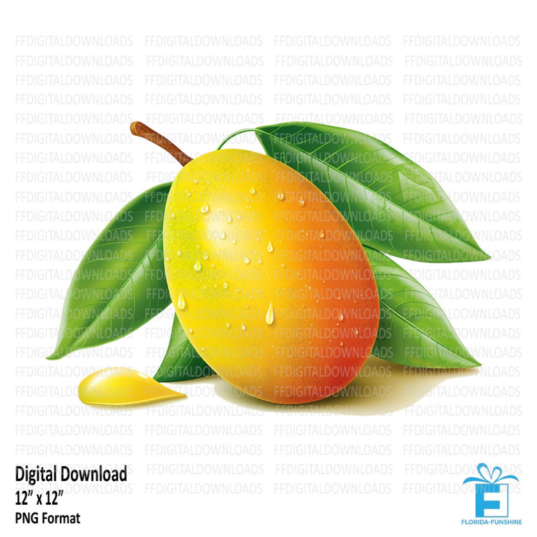 Mango Clipart Mango Png Watercolor Mango Mango Digital - Etsy