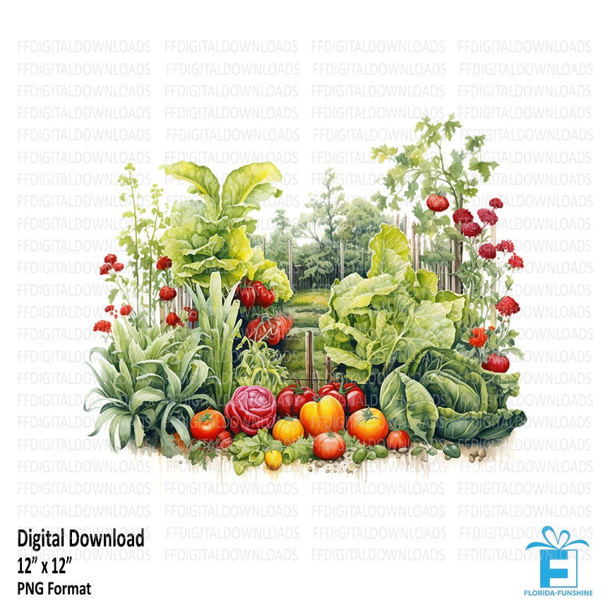 Vegetable Garden Drawing