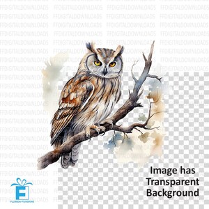 Owl Clipart, Watercolor Owl on Branch, Owl on Branch PNG, Digital ...