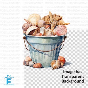 Seashell Clipart, Seashell Png, Seashells in a Bucket Png, Watercolor ...