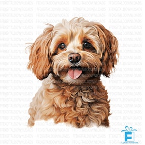 Cavapoo Clipart Bundle, 7 High-quality Pngs, Cavapoo Png, Cavapoo Image ...