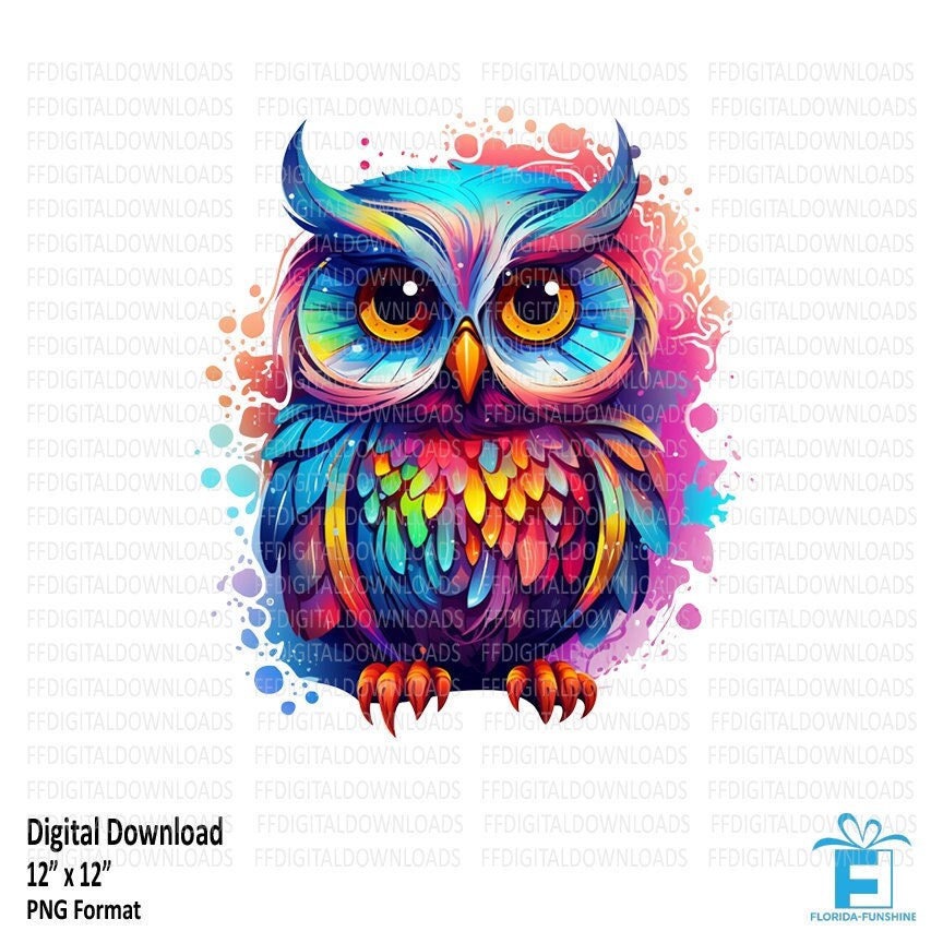 Owl Clipart Owl PNG Colorful Owl Clipart Fun Owl PNG - Etsy
