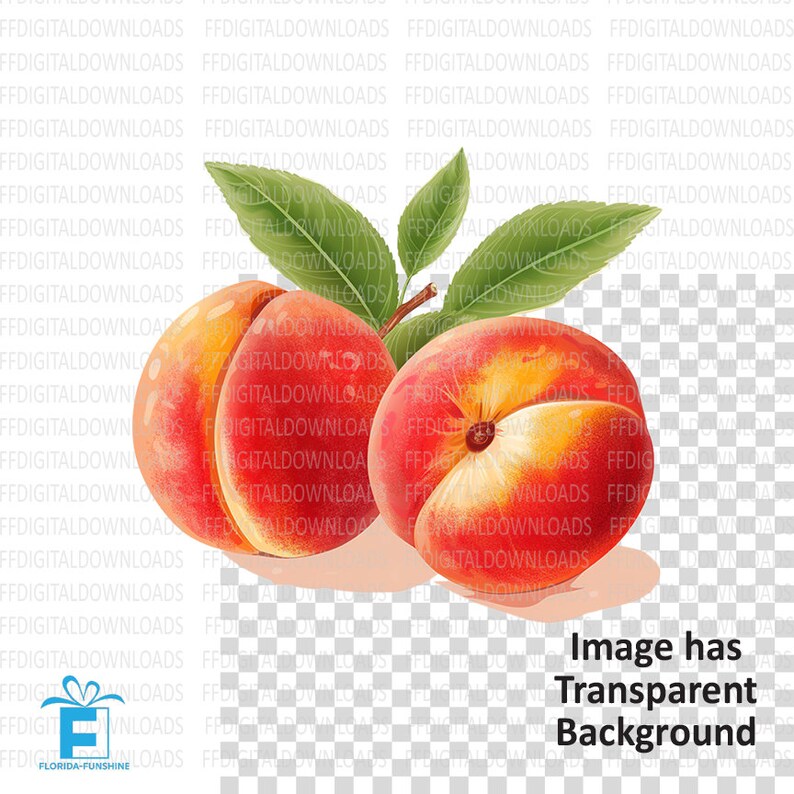 Peaches Clipart Peaches Png Watercolor Peaches Peach - Etsy
