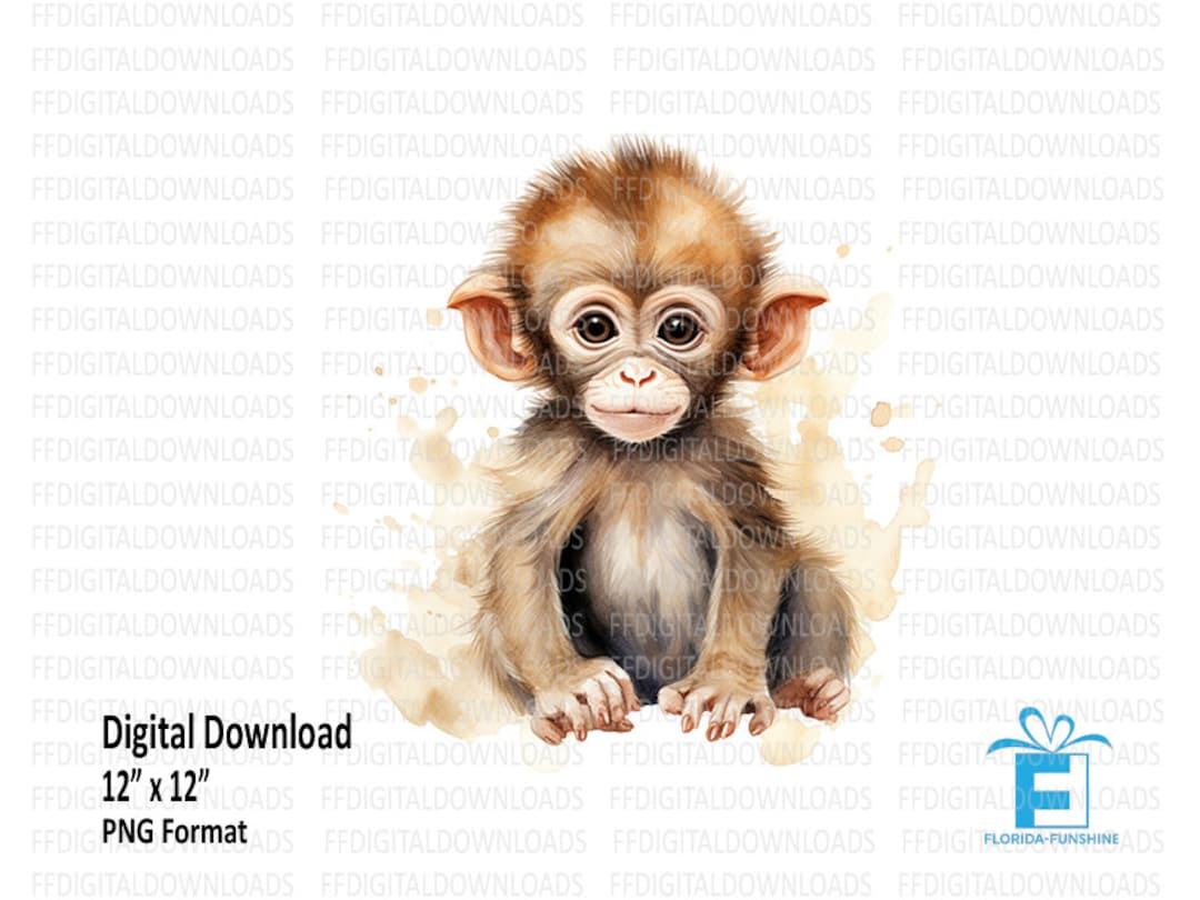 Baby Monkey Clipart, Monkey PNG, Watercolor Monkey Clipart, Baby Monkey ...