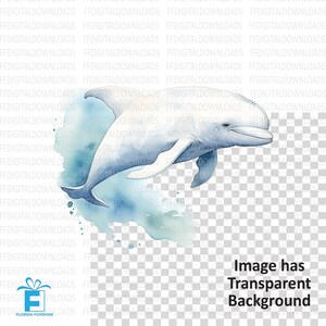 Beluga Whale Clipart, Beluga Whale Png, Watercolor Beluga Whale ...