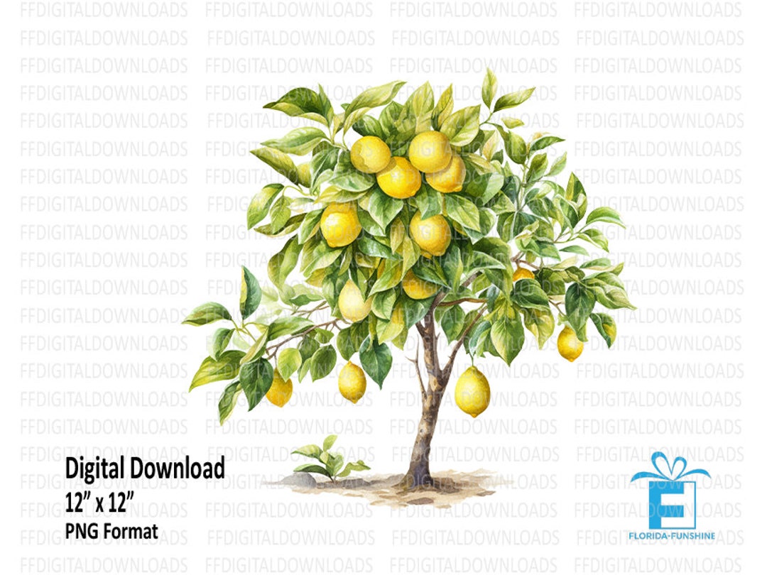 Lemon Tree Png, Lemon Tree Clipart, Watercolor Lemon Tree, Lemon Tree ...