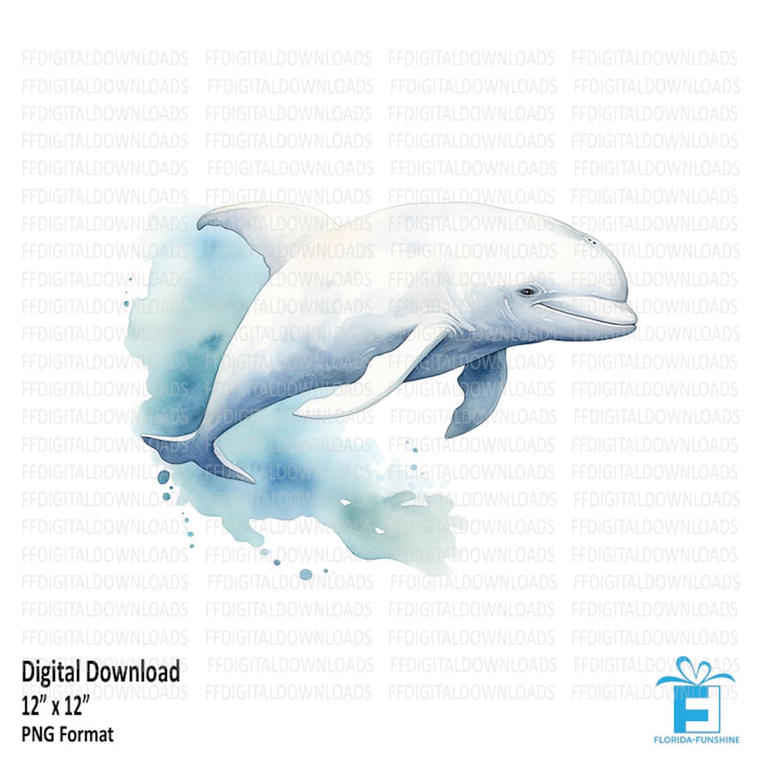Beluga Whale Clipart, Beluga Whale Png, Watercolor Beluga Whale ...