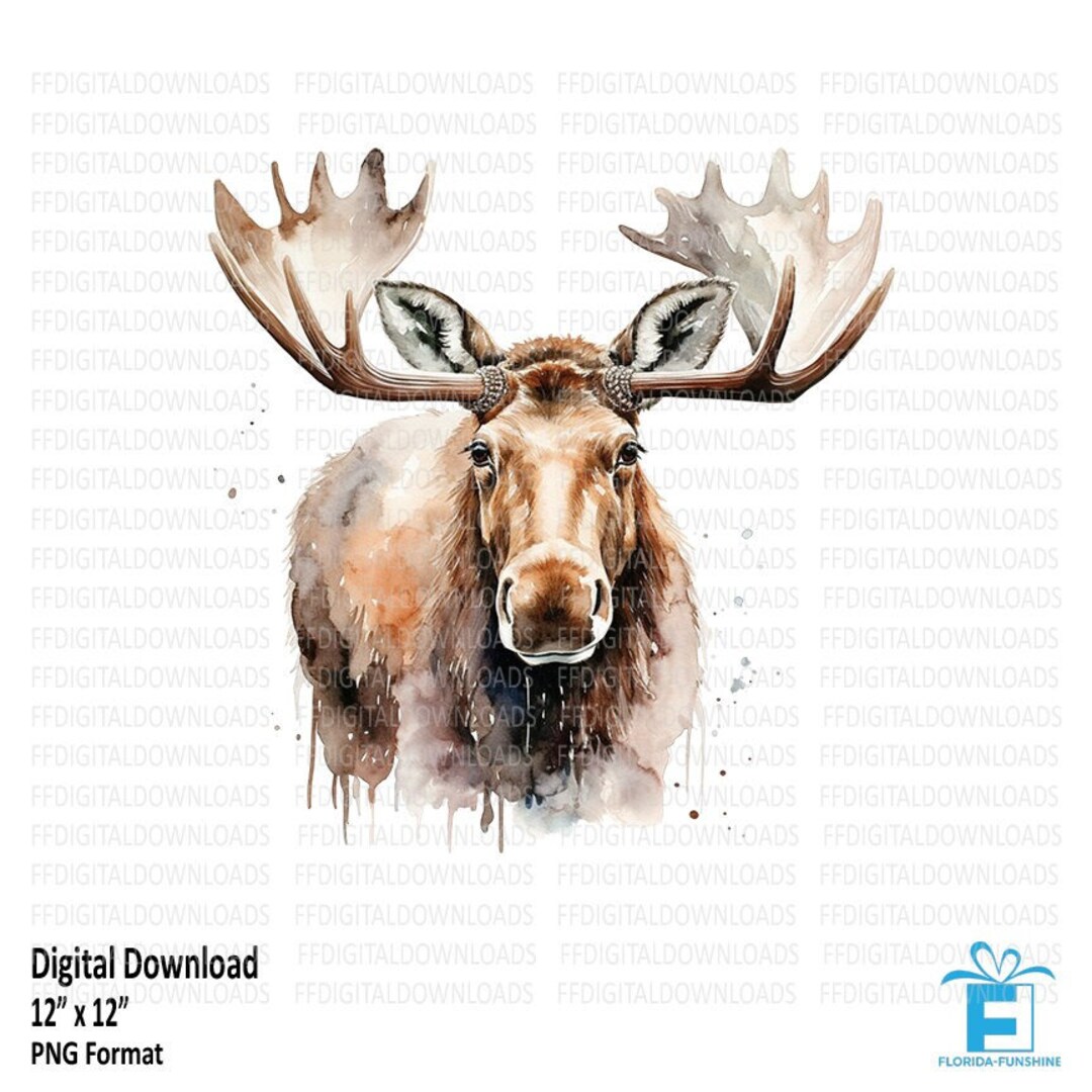 Moose PNG, Watercolor Moose Clip Art, Moose Clipart, Moose Design ...