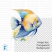 Angel Fish Clipart, Angel Fish Png, Angel Fish Image, Angel Fish ...