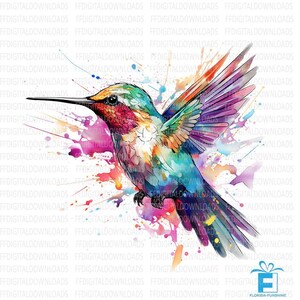Hummingbird Clipart, 7 High-quality PNG Bundle, Psychedelic Hummingbird ...