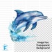 Dolphin Clipart, Dolphin Png, Watercolor Dolphin, Digital Clipart ...